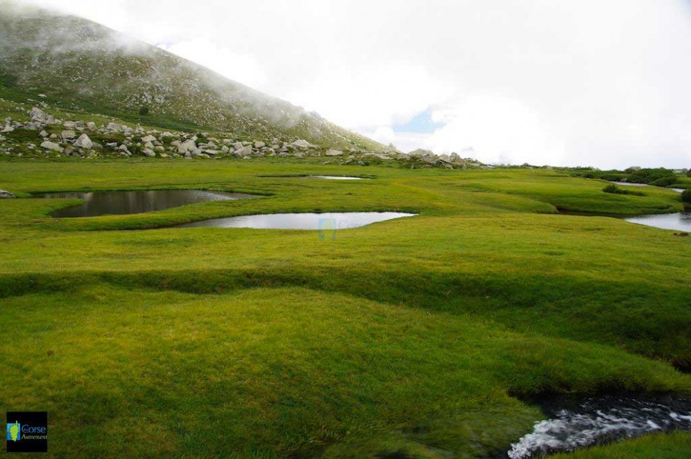 I Pozzi : Randonnée en Corse avec A Muvrella Randonnées
