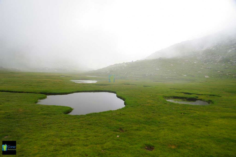 I Pozzi : Randonnée en Corse avec A Muvrella Randonnées