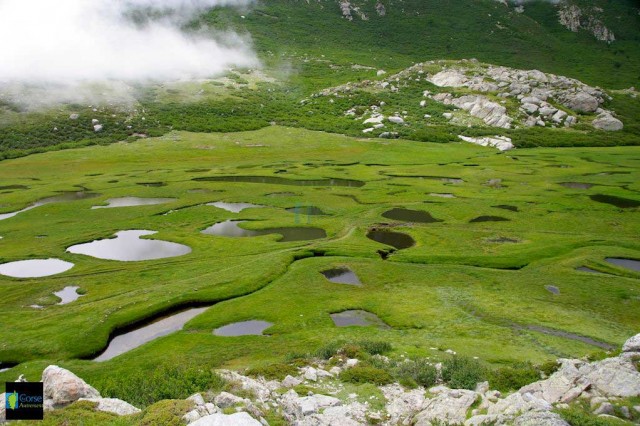 I Pozzi : Randonnée en Corse avec A Muvrella Randonnées