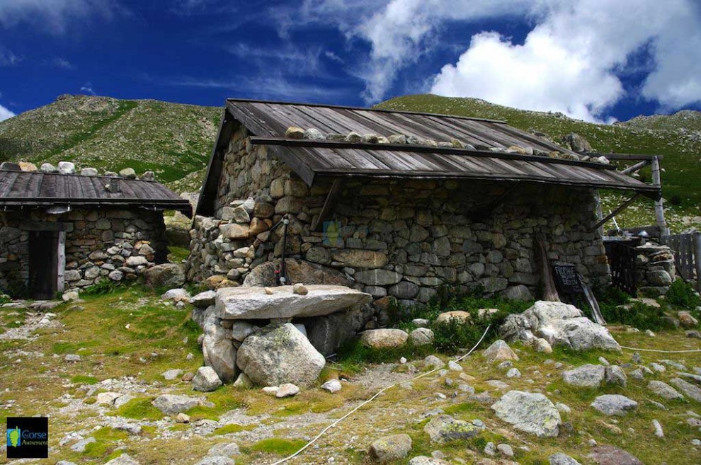 I Pozzi : Randonnée en Corse avec A Muvrella Randonnées