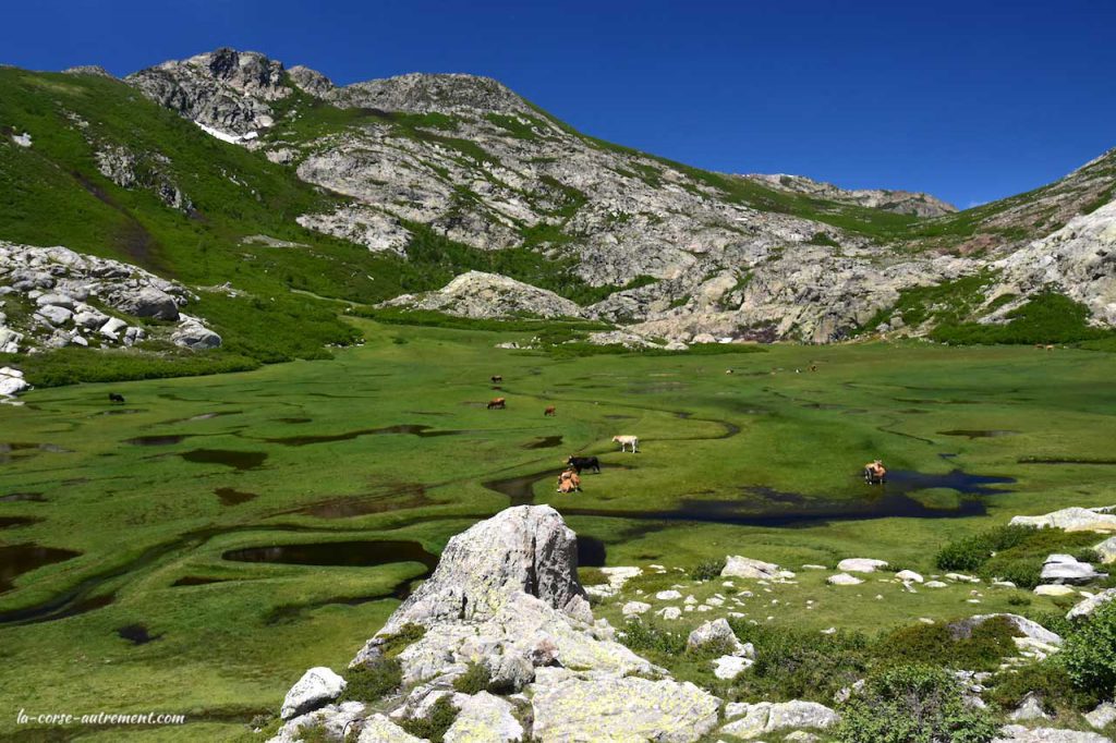 Randonnée en Corse : I Pozzi, depuis le village de Bastelica