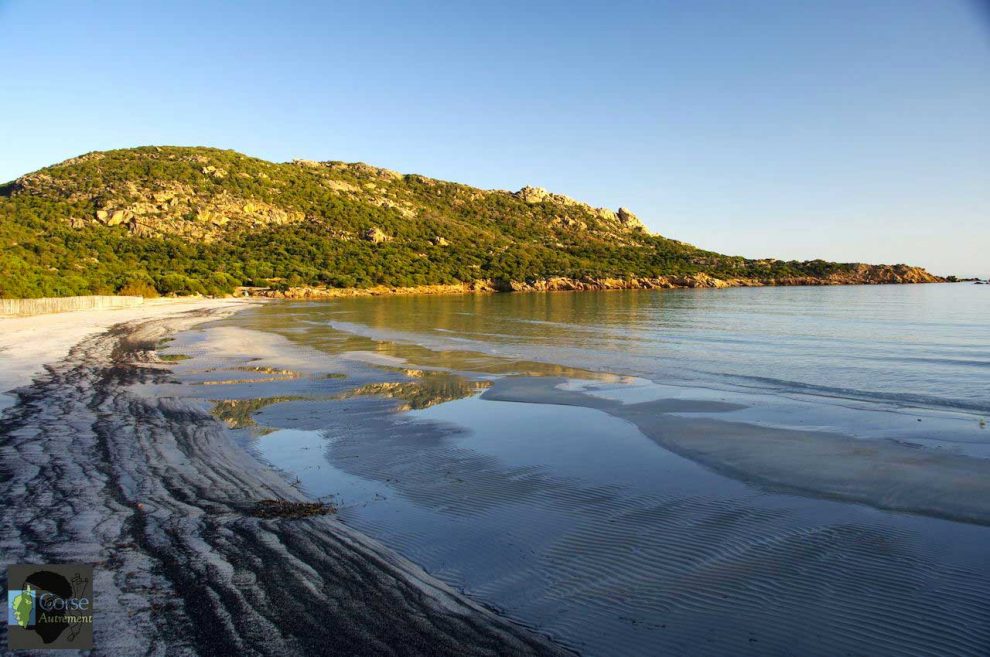 Découverte : 10 belles plages corses > Blog La Corse Autrement