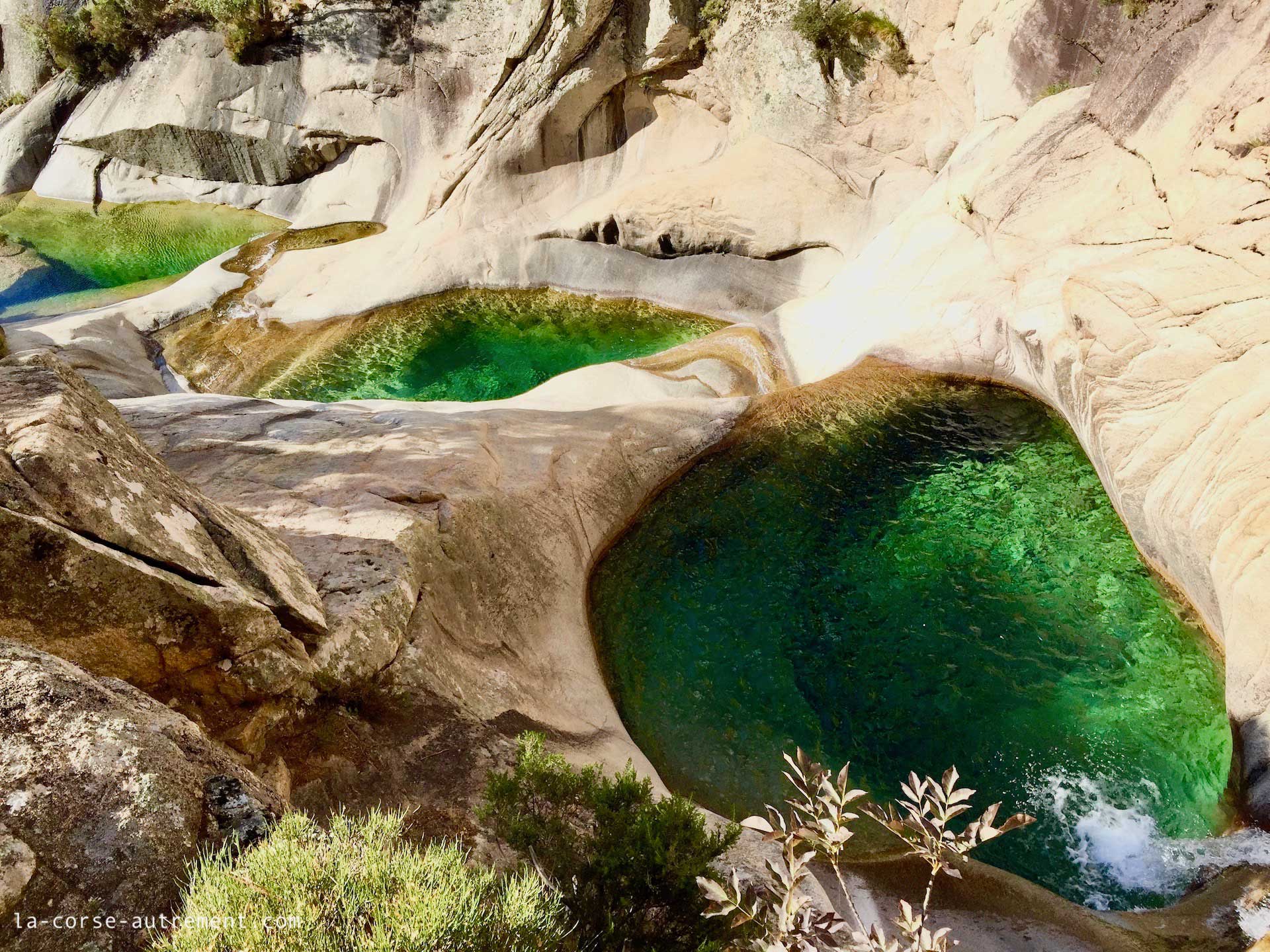 Forêt de l'Ospédale : Cascade Piscia di Gallu