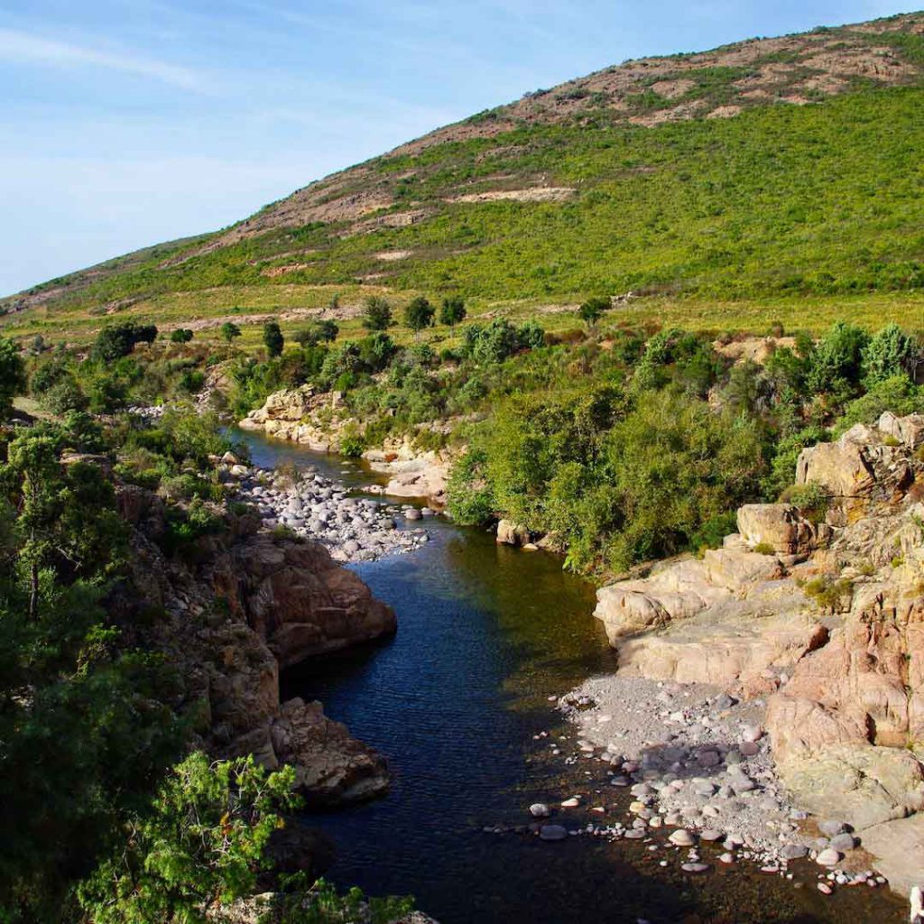 Découverte : La rivière du Fango en Corse, la pause fraîcheur