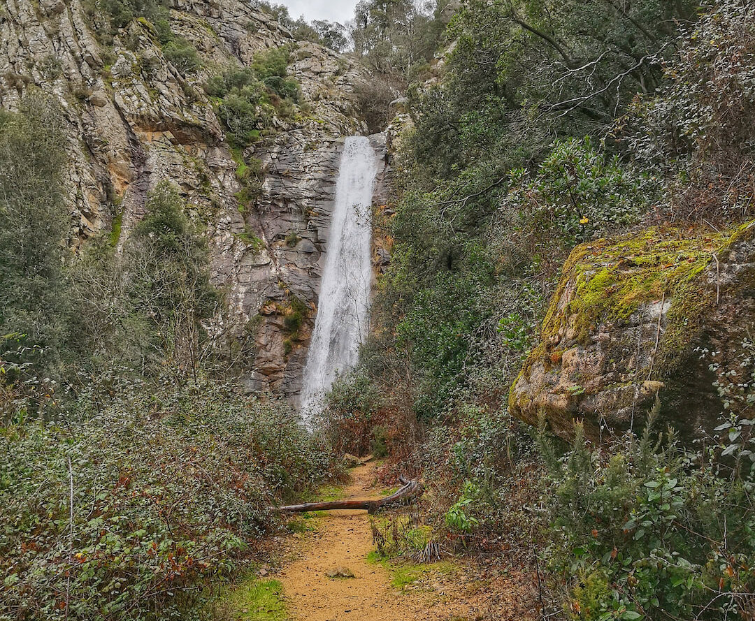 Balade vers la cascade de Carnevale ⎪La Corse Autrement