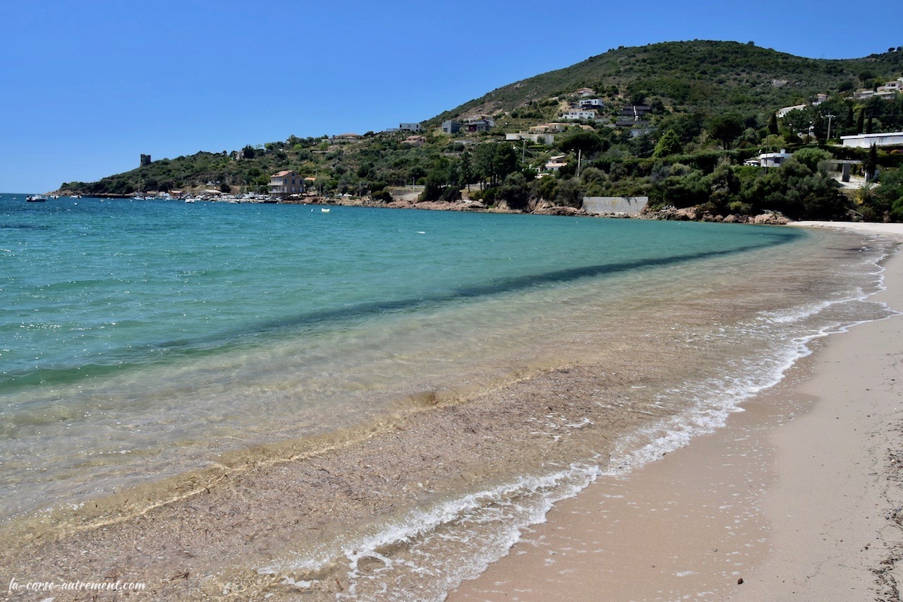 Visiter la Corse : Les principaux sites de la Corse-du-Sud