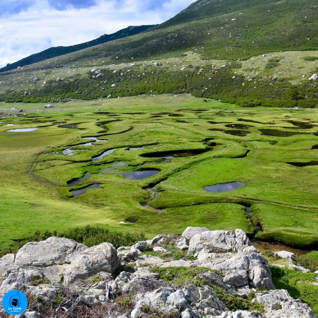 Randonnée en Corse : I Pozzi, depuis le village de Bastelica