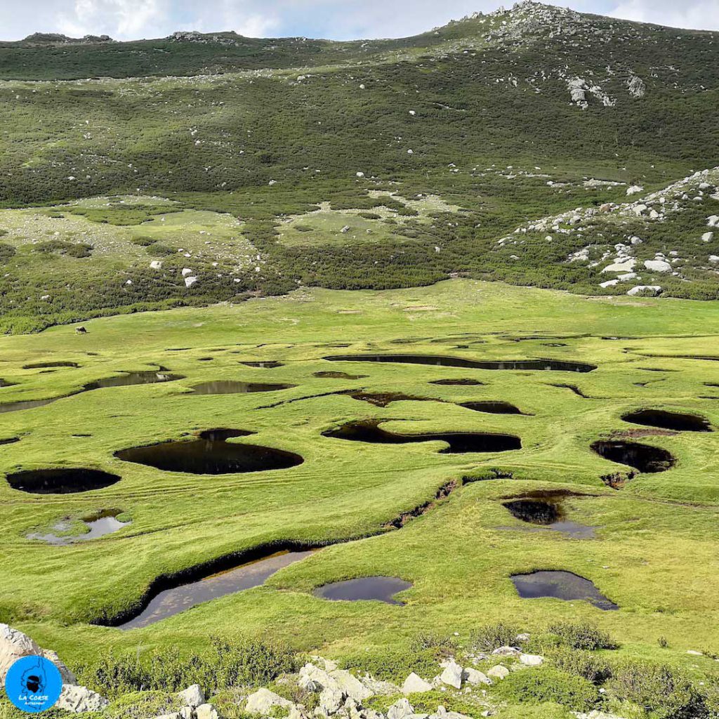 Randonnée en Corse : I Pozzi, depuis le village de Bastelica