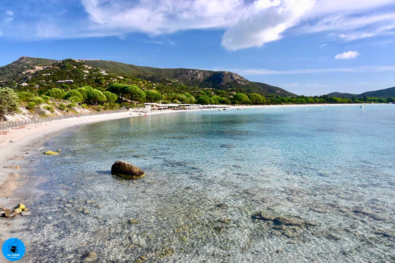 La plage de Palombaggia en Corse, Porto-Vecchio