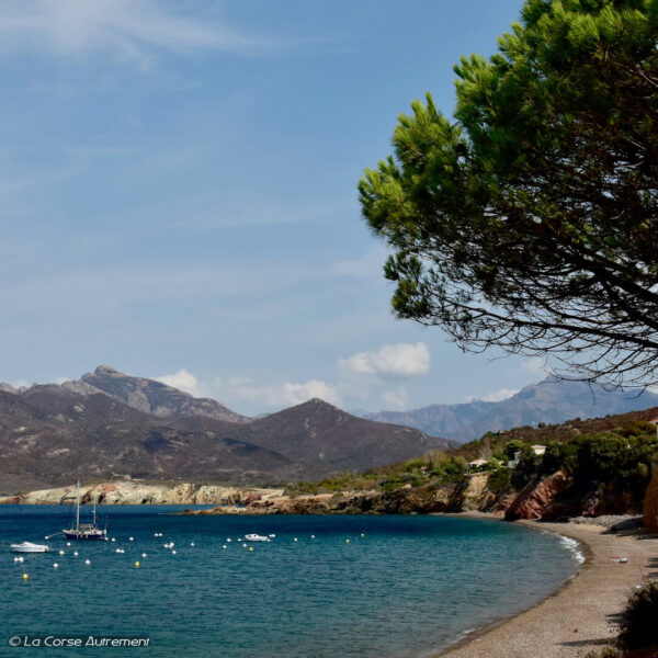 Corse : De Calvi à Ajaccio par la côte