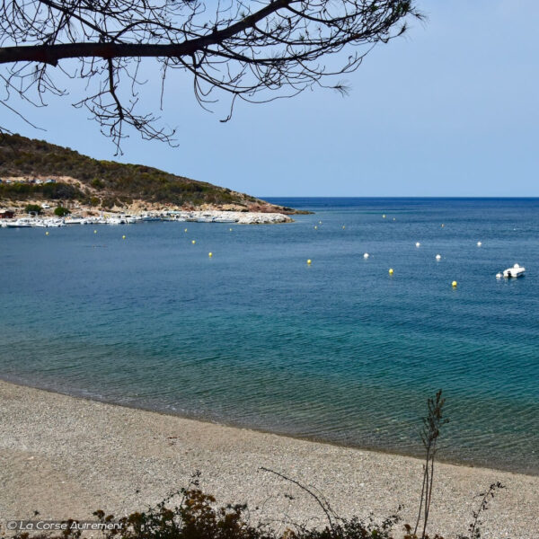 Corse : De Calvi à Ajaccio par la côte