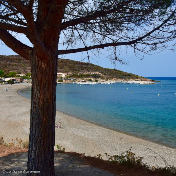 Corse : De Calvi à Ajaccio par la côte