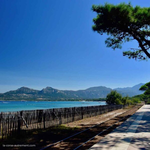 Corse : De Calvi à Ajaccio par la côte