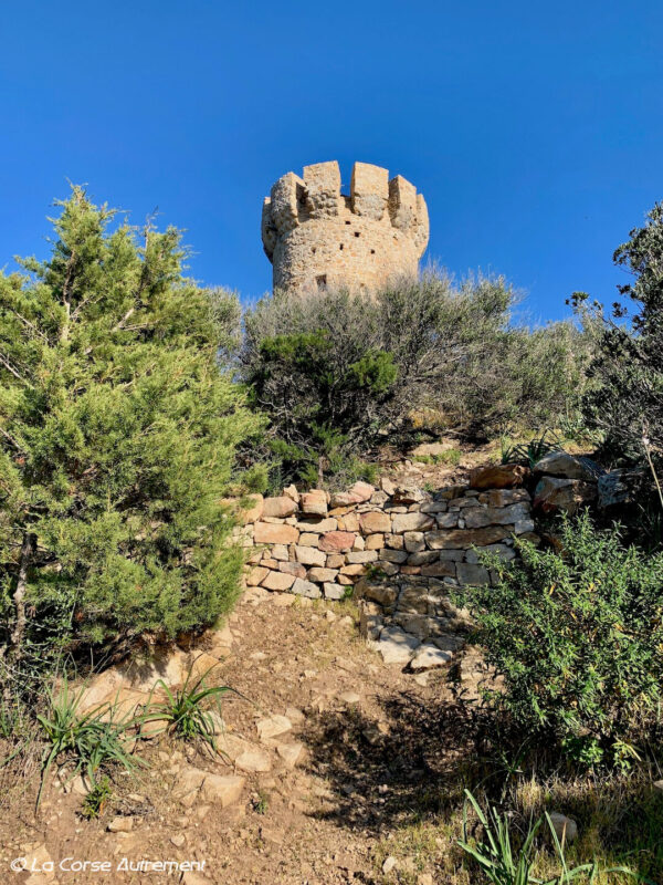 La tour de Capannella, Baie de Cupabia en Corse