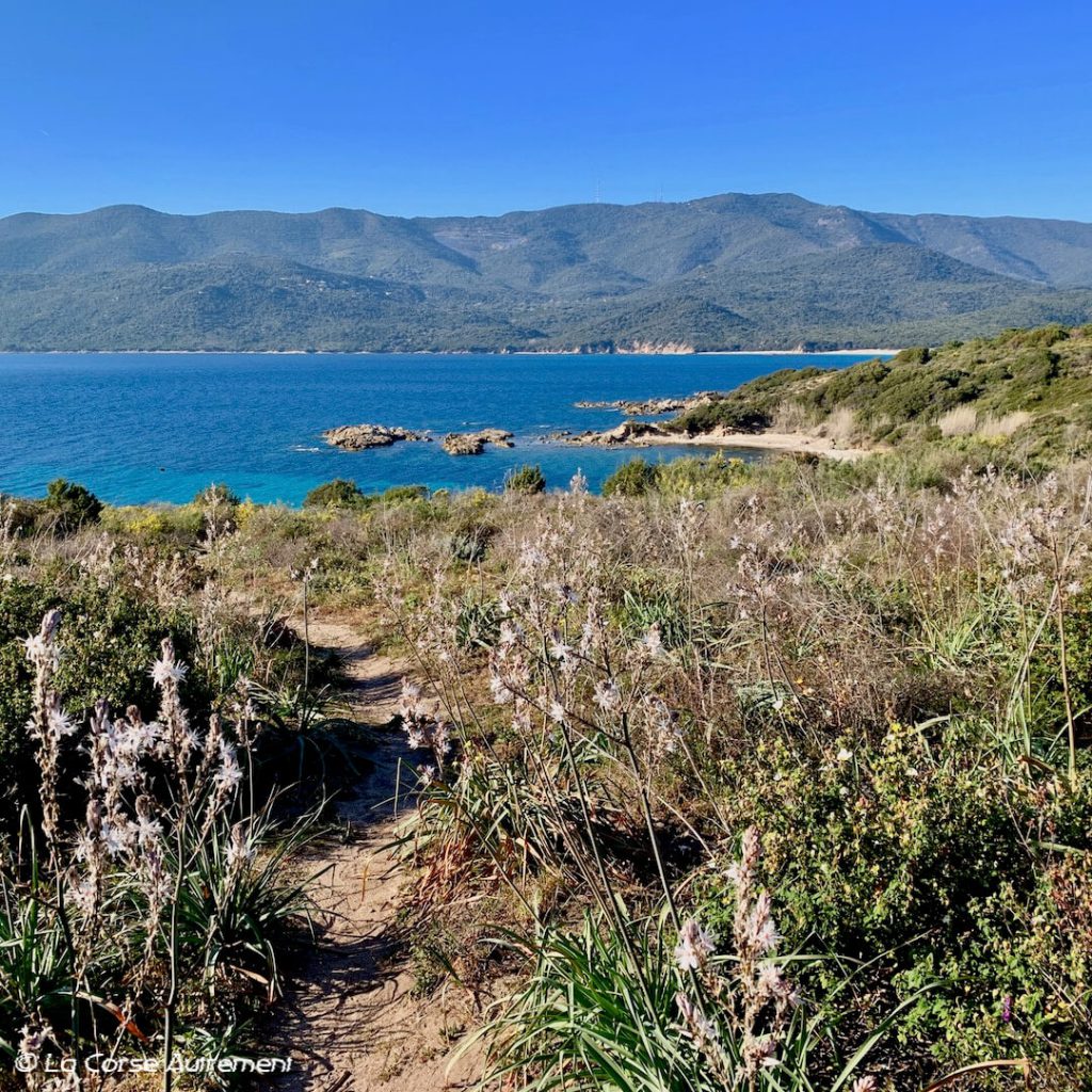 La tour de Capannella, Baie de Cupabia en Corse