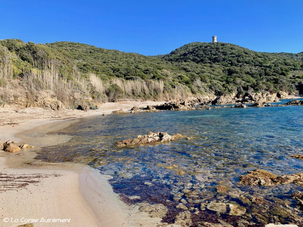 La tour de Capannella, Baie de Cupabia en Corse