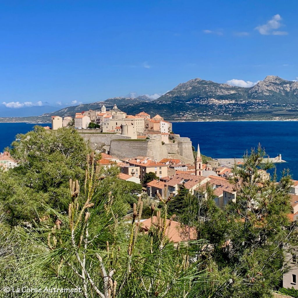 Corse : Le littoral entre l'Ostriconi et Calvi > Blog La Corse Autrement