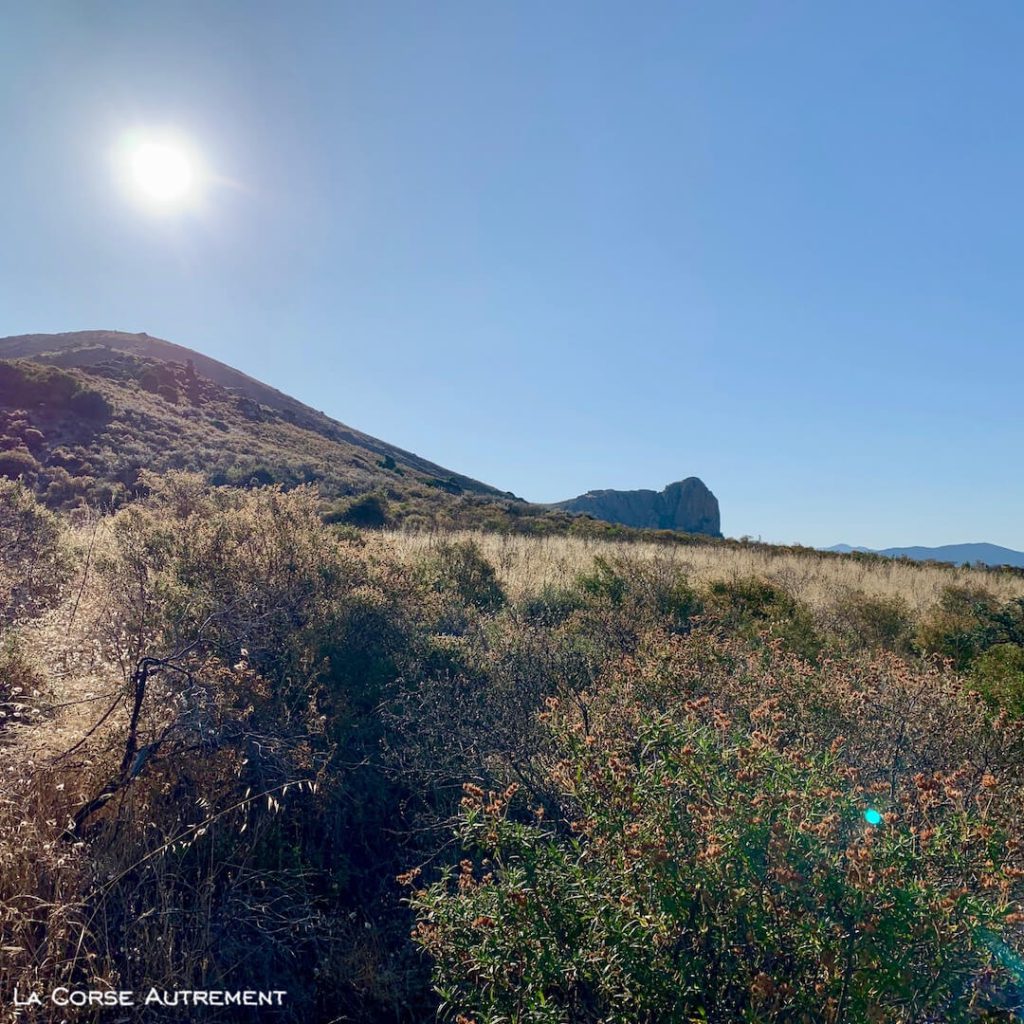 Le Monte Gozzi surplombant Ajaccio : Randonnée en Corse