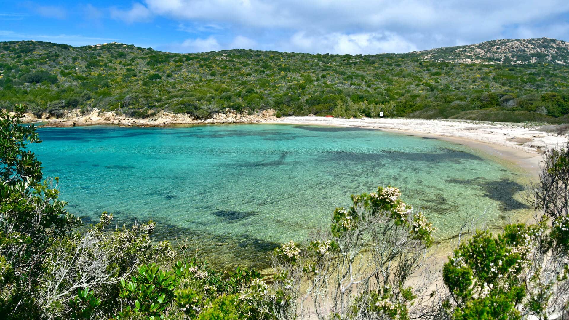 Tizzano, Senetosa, Cala di Conca : Randonnée en Corse