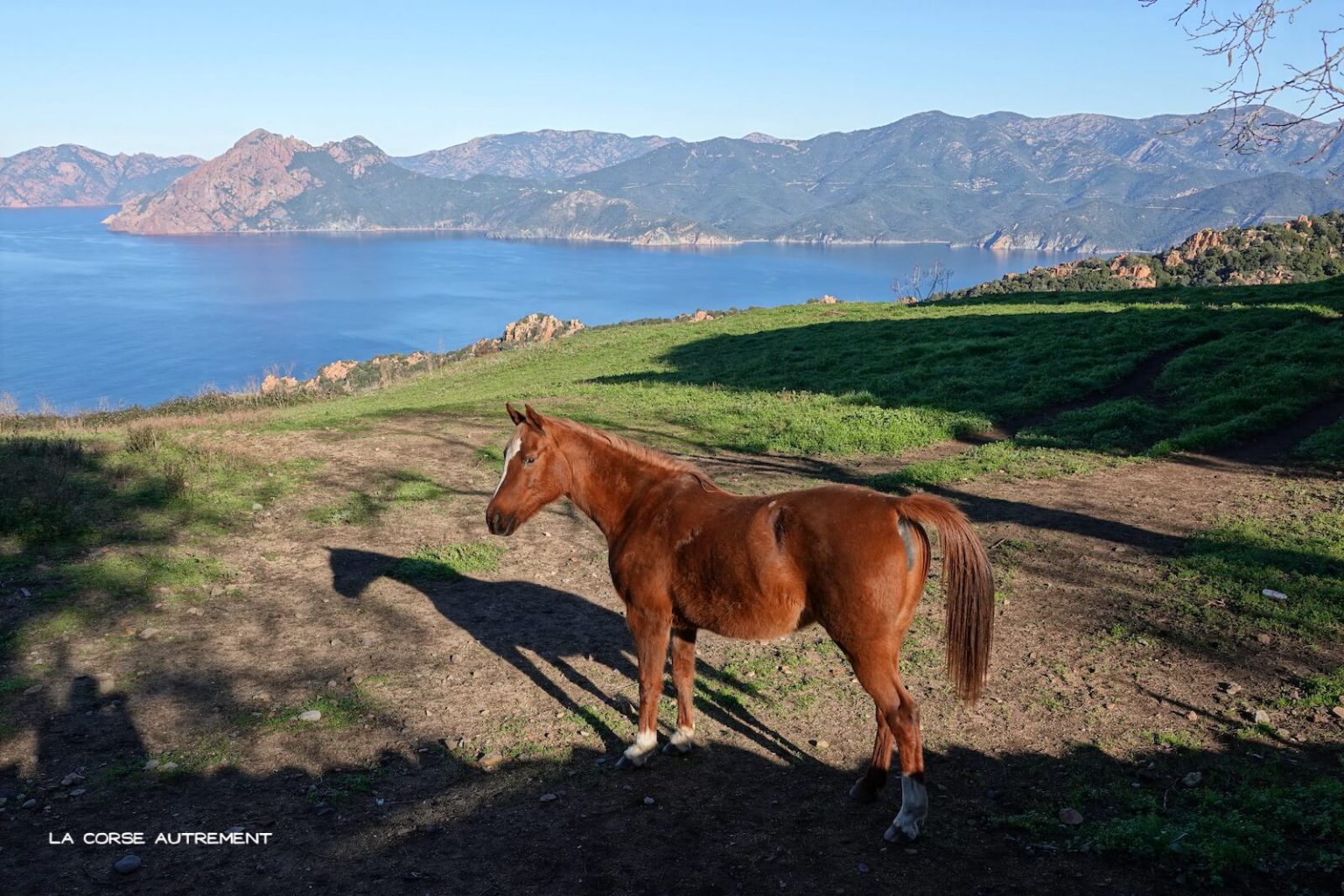 Le village de Piana en Corse et ses Calanques, un incontournable