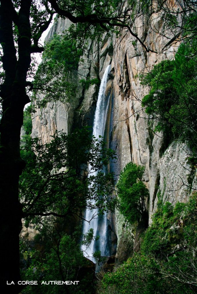 Forêt de l'Ospédale : Cascade Piscia di Gallu > La Corse Autrement