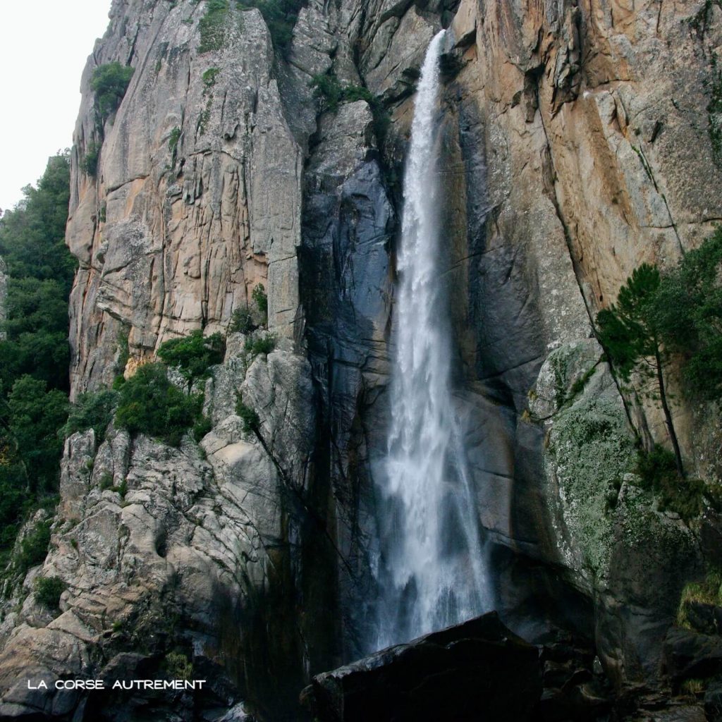 Forêt de l'Ospédale : Cascade Piscia di Gallu > La Corse Autrement