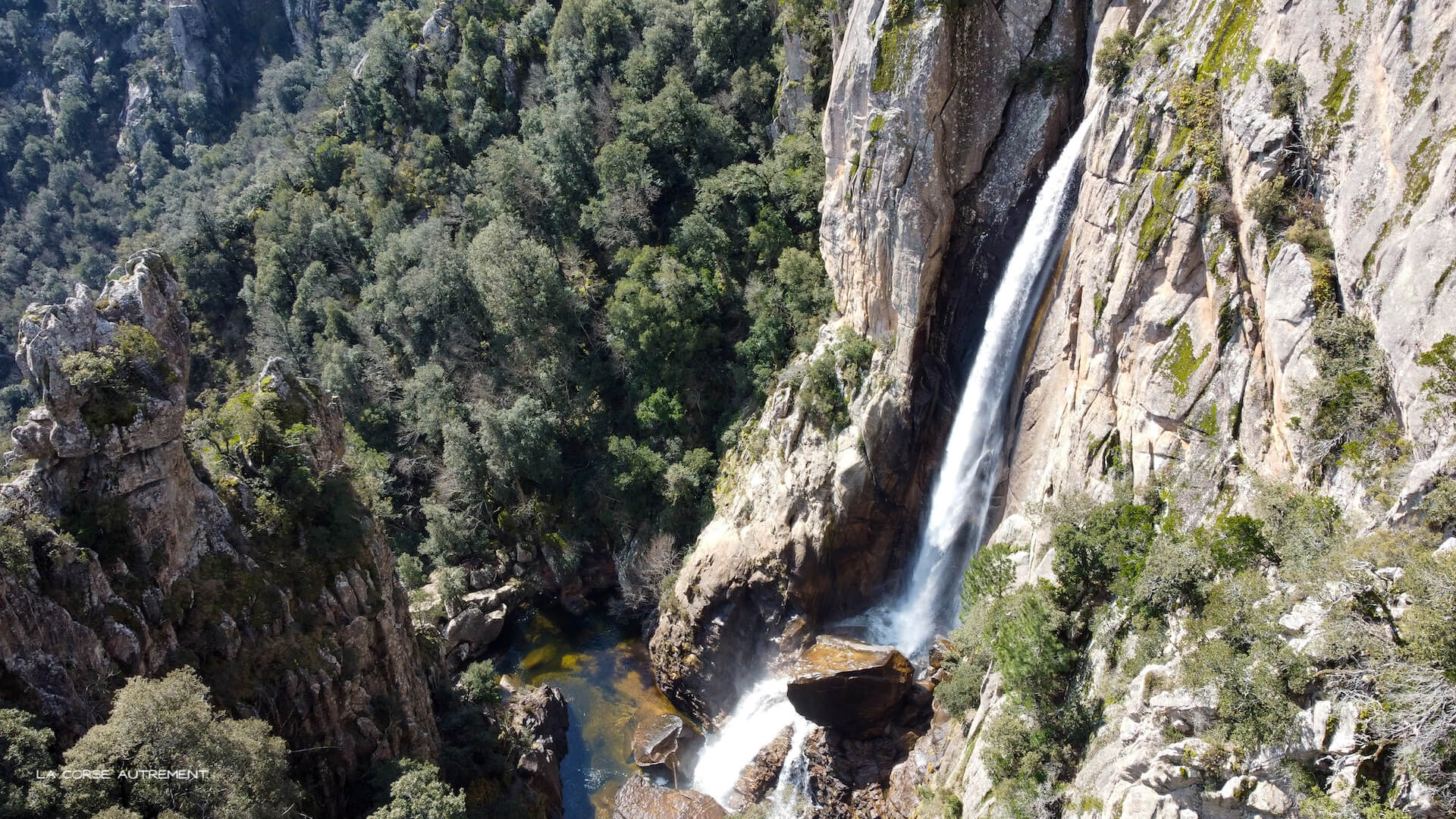 Forêt de l'Ospédale : Cascade Piscia di Gallu