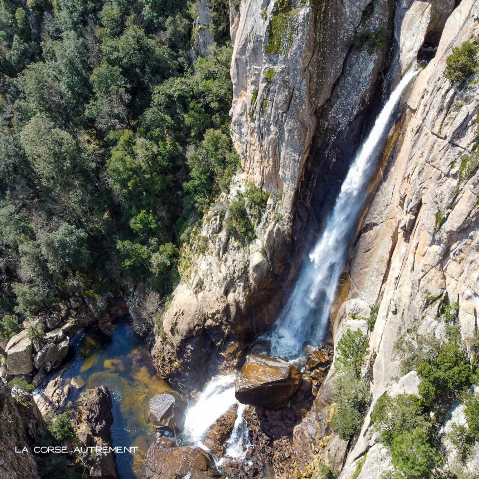 Forêt de l'Ospédale : Cascade Piscia di Gallu