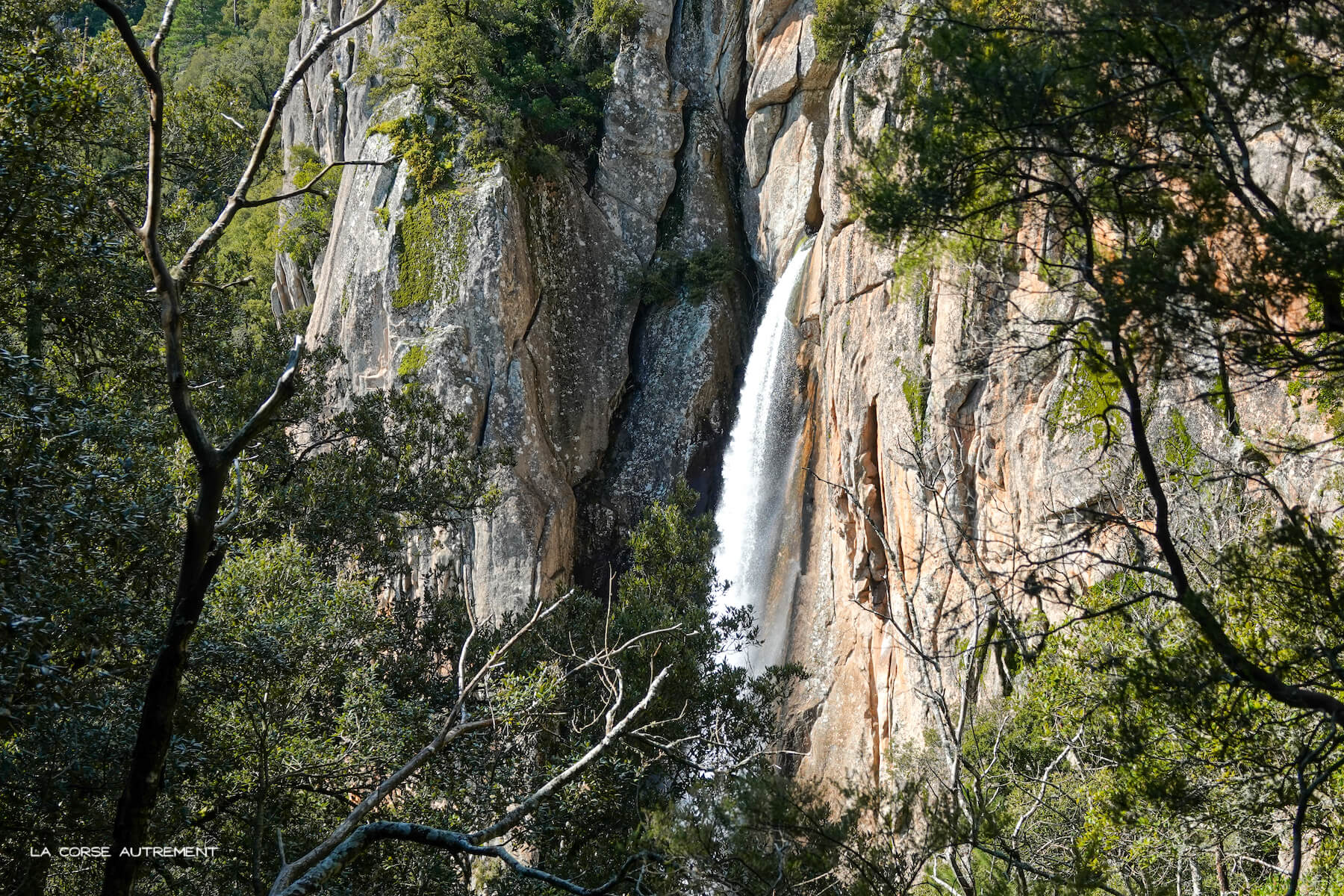 Forêt de l'Ospédale : Cascade Piscia di Gallu