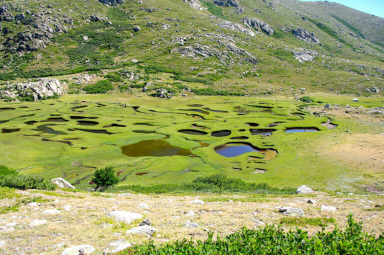 A Piuma, randonnées découvertes et insolites en Corse